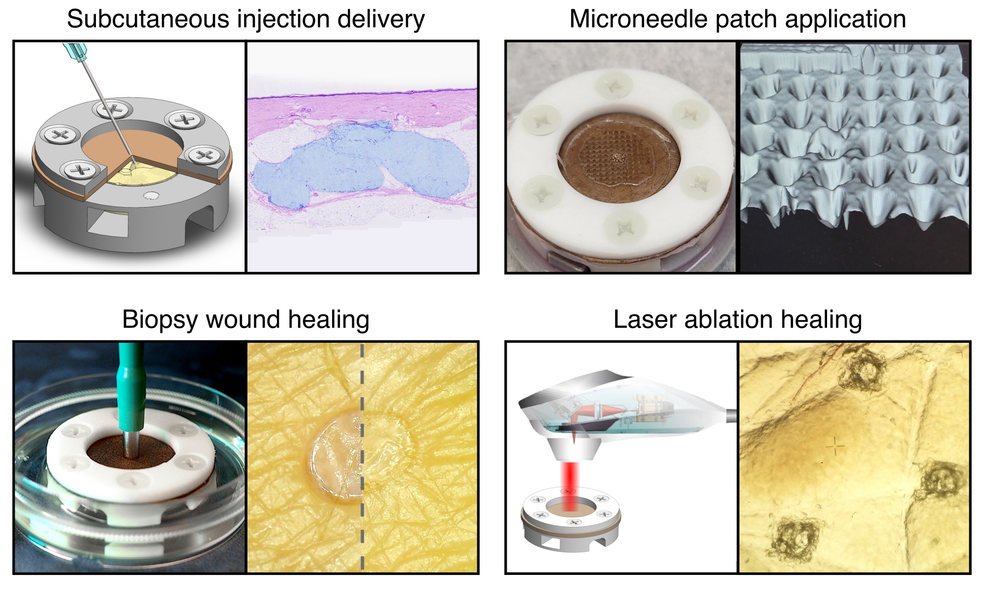 Precision solutions for your skin research challenges - Ten Bio