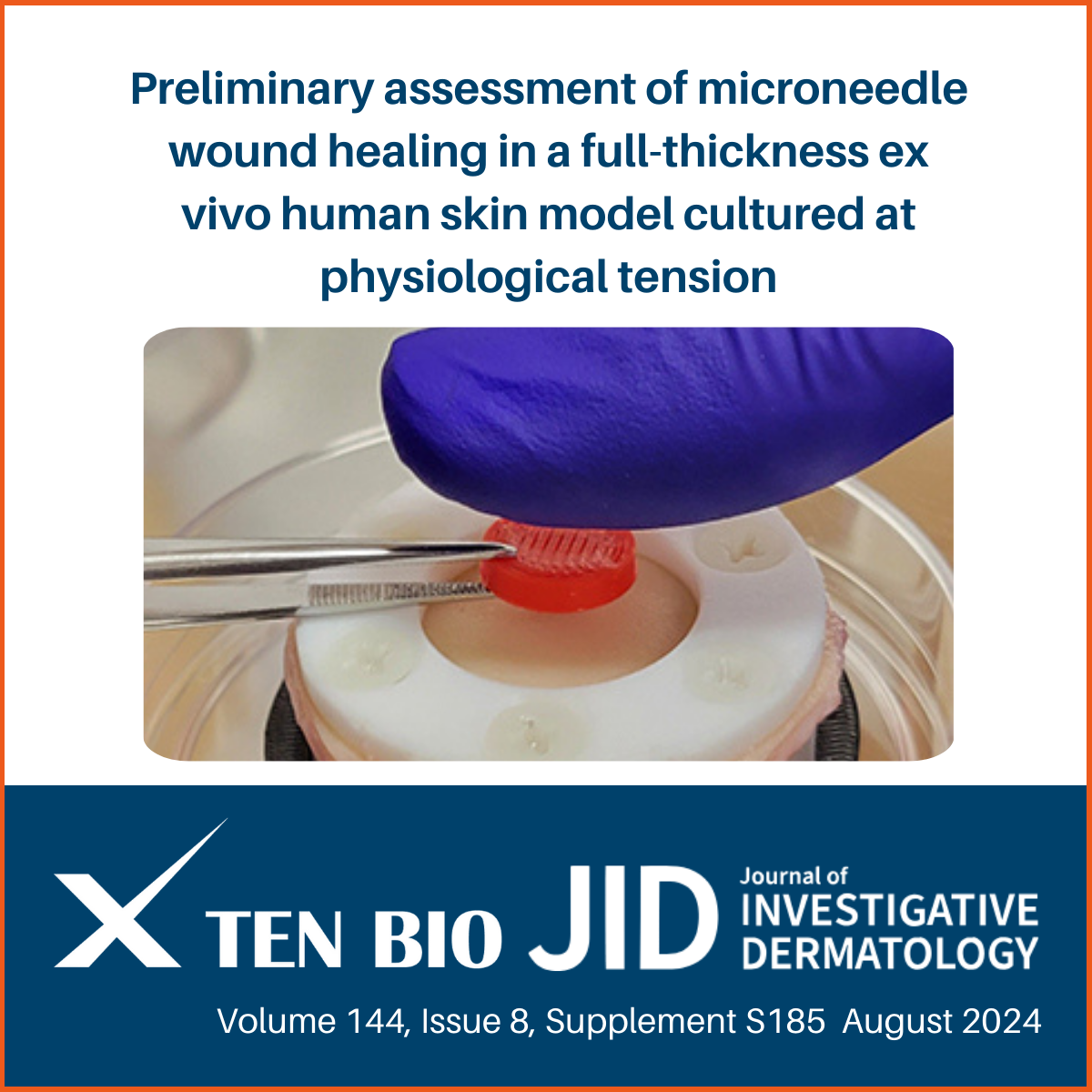 Preliminary assessment of microneedle wound healing in a full-thickness ...